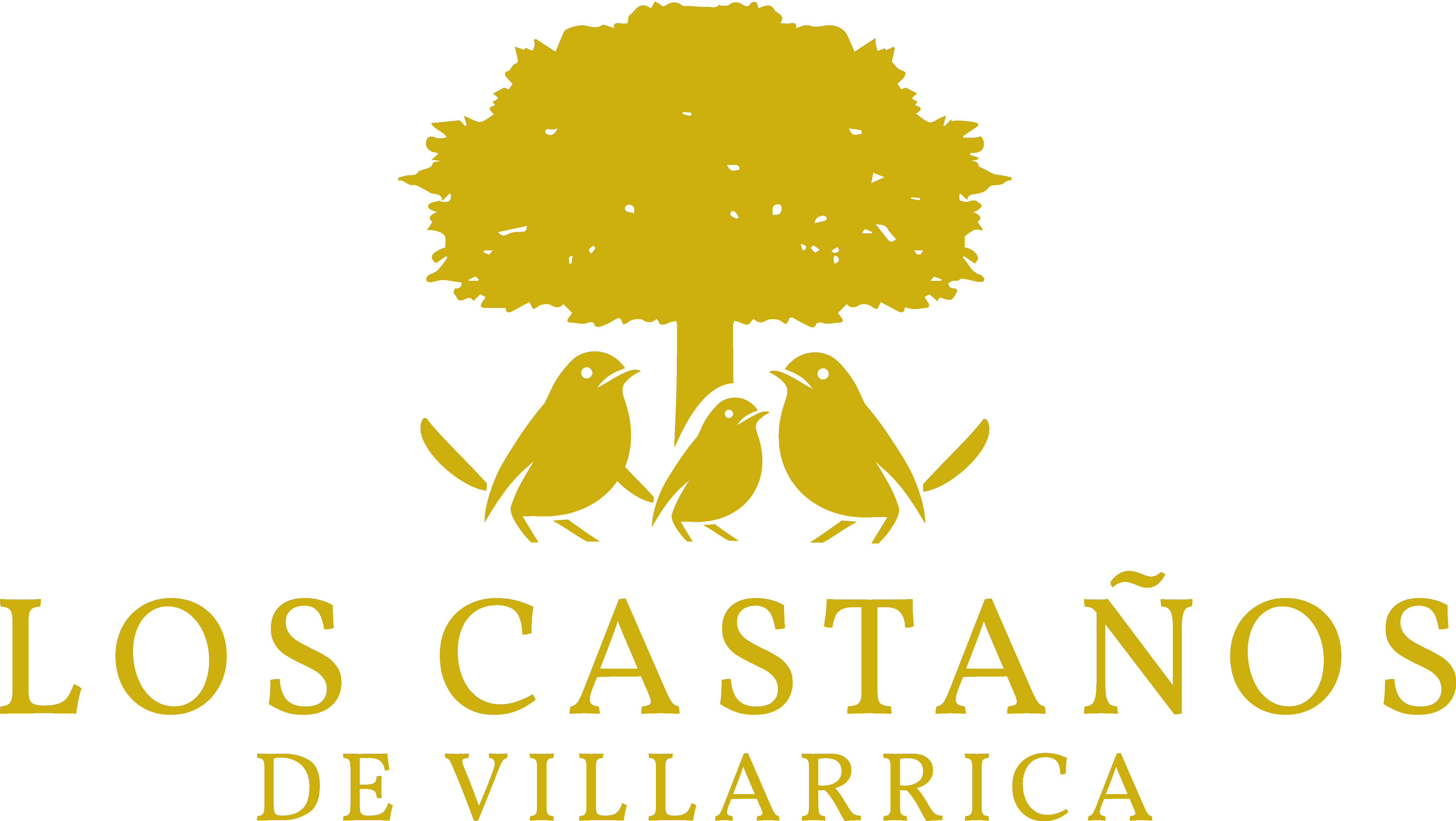 Los Castaños – Zenital